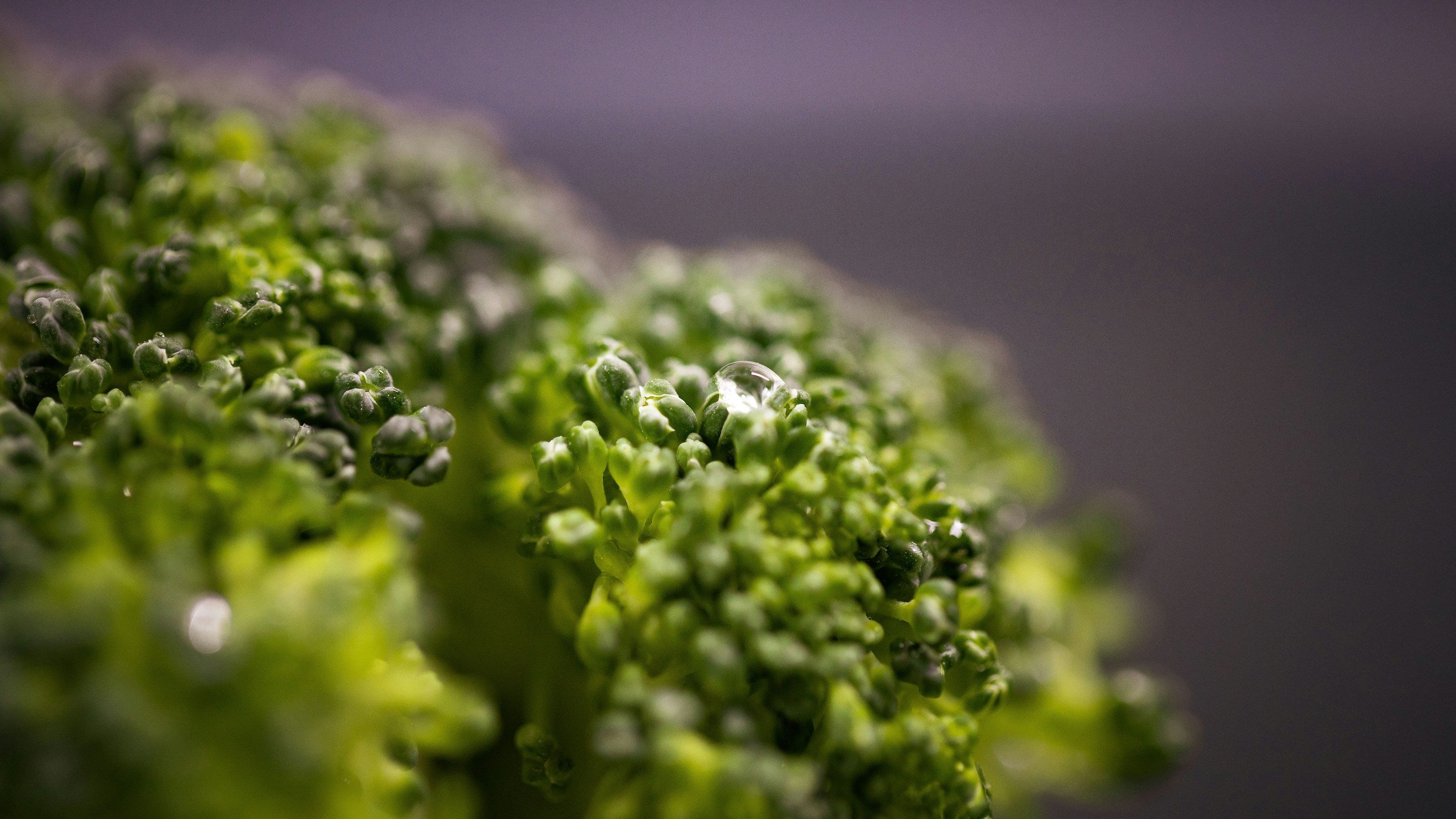 How to 4x broccoli’s anti-cancer properties (pregnancy safe!) – Tend ...